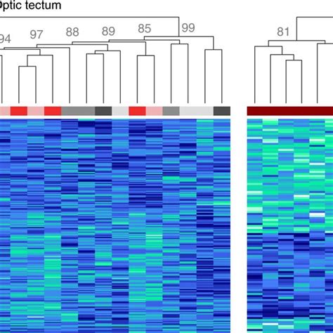 Hierarchical Gene Expression Clustering Of Preference De Download