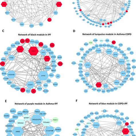 Clustering And Heatmap Module Eigengenes A Clustering And Heatmap