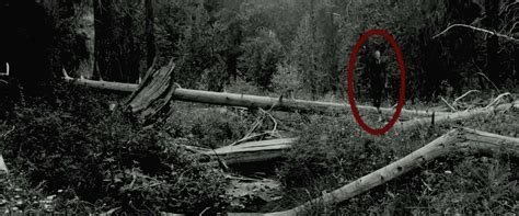 Slender Man Trailer So Much Creeping In The Dark The Nerdy