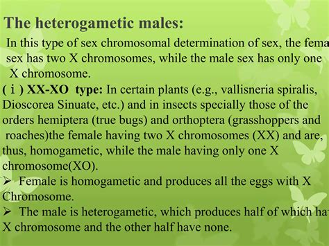 Sex Determination Chromosomal Theory Of Sex Determination PPTX