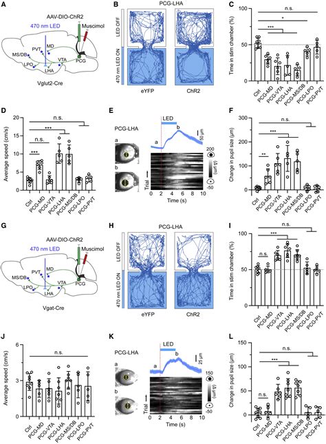 Glutamatergic And Gabaergic Neurons In Pontine Central Gray Mediate Opposing Valence Specific