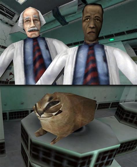 I Made Floppa And Friends Cubes Also Featuring A Real Cat R Bigfloppa