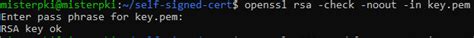 Openssl Verify Verify A Certificate And Certificate Chain Mister PKI