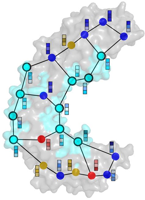 What Is Geometric Deep Learning
