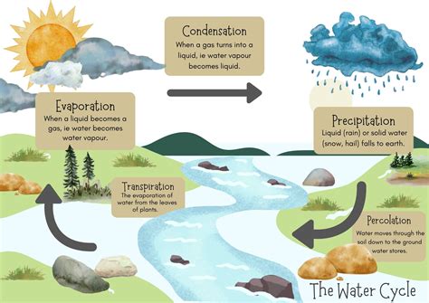 The Water Cycle Posters Freebie Over At Our Website Etsy