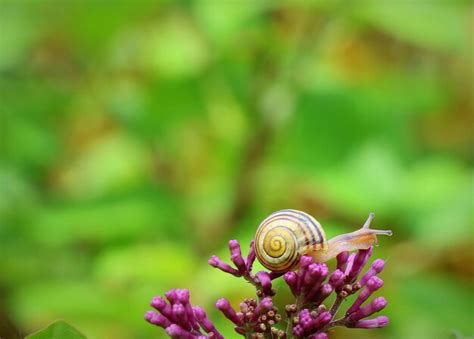 Premium Photo Sun Bathing