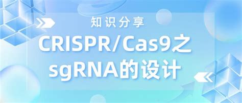 知识分享 Crispr Cas9之sgrna的设计 知乎