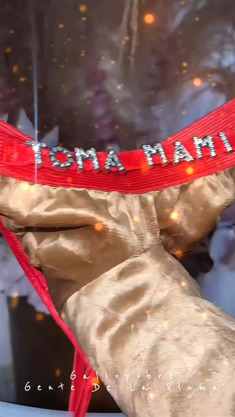 Gallopobre 🪶🪶🪶🪶🪶🪶 Se Va Poner Bueno El Paleque Ese Dia😏😏😏 😅🤣😂🤣 Jeje