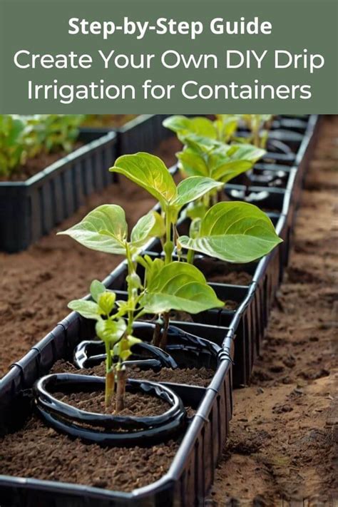 A Guide Create Your Own Diy Drip Irrigation For Containers