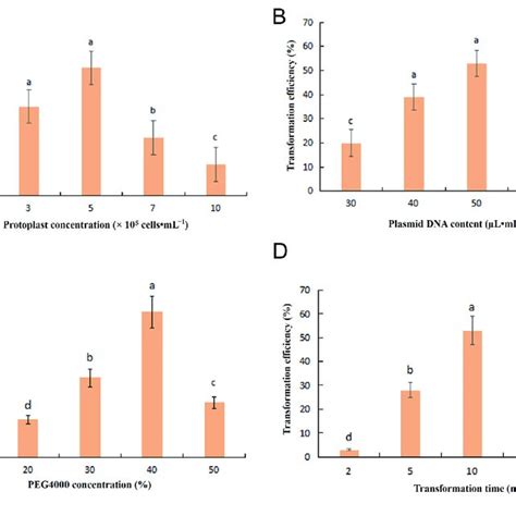 Pdf Optimization Of Protoplast Preparation System From Leaves And