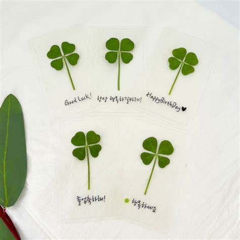 🍀네잎클로버 맞춤제작 코팅카드 투명카드 아이디어스