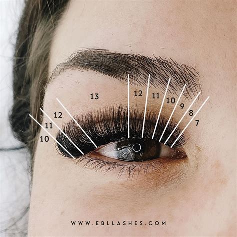Pin On Lash Maps
