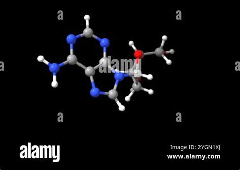 Structure Of A Deoxyribonucleoside Deoxyadenosine Animated 3d Ball And