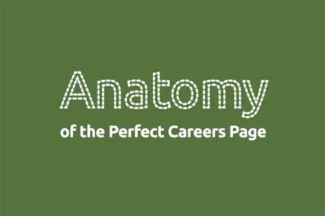 Anatomy Of The Perfect Careers Page Job Search Infographics