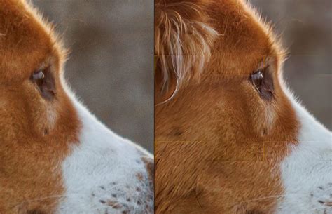 Photo With Block Lines After Applying Topaz Bugs And Issues Topaz