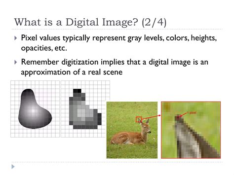 1 IP Introduction Pdf