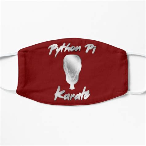 Python Pi Karate Metal Effect Mask For Sale By Pieter Bruwer Python Mask Programmer Humor