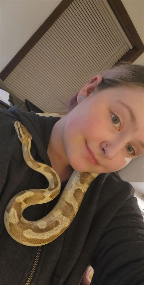 Bagel 💕🥯 R Niceballpythons