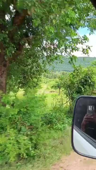 [video] value chain factory on linkedin treeplantingday