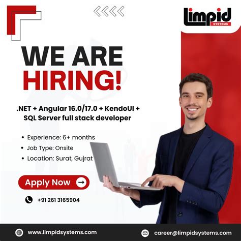Limpid Systems On Linkedin Career Opportunity Position Experience