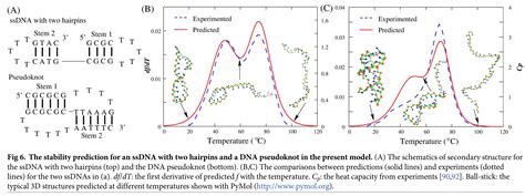 Rna Folding Lab Home