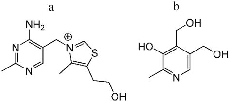Molecular Structure Of Thiamine Hydrochloride Vitamin B 1 A And Download Scientific