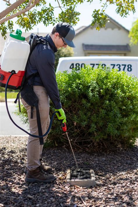 Pest Control Services Queen Creek Az Termites Scorpions Ticks