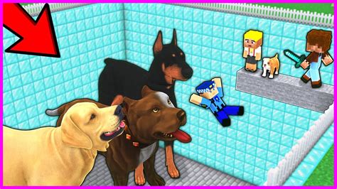 KÖpek Çetesİ Çukuruna DÜŞersen ÖlÜrsÜn😱 Minecraft Youtube