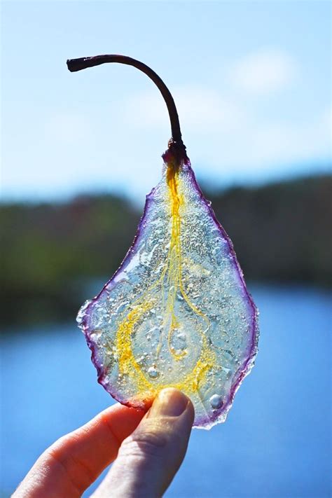 Glass Pear Chips Dakota Ovdan