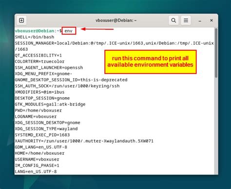 How To Print Env Variable Linux Best Methods