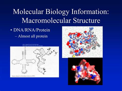 Ppt Introduction To Bioinformatics Powerpoint Presentation Free