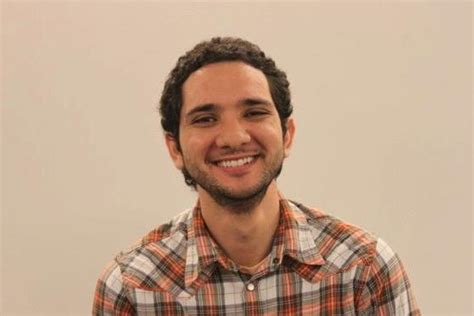 Animal Sex How Koalas Do It Live Science