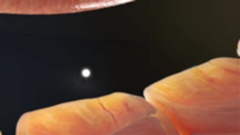 Pov Vore Video 3
