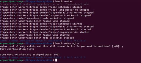 I Have Error Production When Bench Setup Production And Bench Restart Frappe Forum