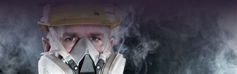 Face Fit Train The Tester Training And Testing Services