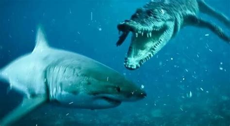 Крокодил против акулы Смотреть онлайн в поиске Яндекса по Видео
