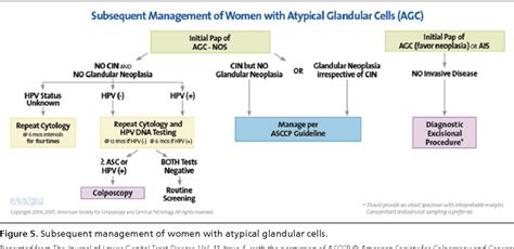 Figure 5 From Update On Asccp Consensus Guidelines For Abnormal