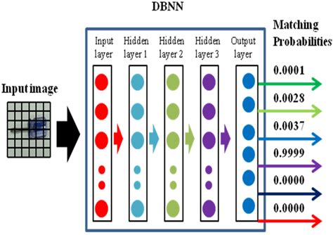 Object Recognition Process Download Scientific Diagram