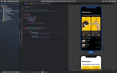 Najibullah Ulul Albab On Linkedin Iosdevelopment Swiftui Ios
