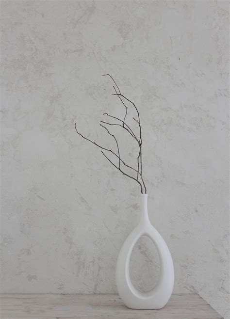 드라이플라워 로즈베이 나뭇가지 천연 오브제 미니 오늘의집 쇼핑