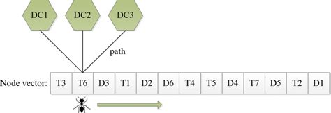 Data Structure For Ant Roaming In The Workflow Download Scientific
