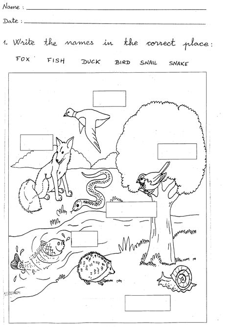 1st Grade Primary 1 English Worksheets