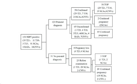 Detailed Outcome Results Of Nipt Positive Cases T21 Trisomy 21 Download Scientific Diagram