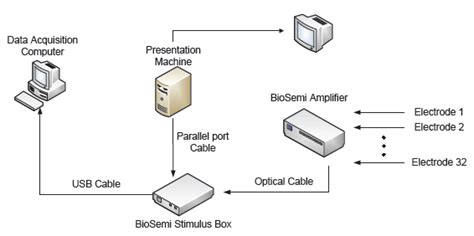Traditional Rsvp Related Eeg Data Acquisition Paradigm Download