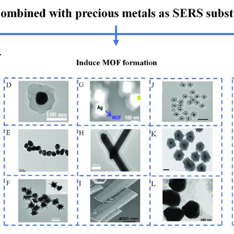 A C Sers Substrate Synthesized By Inducing Precious Metal Download Scientific Diagram