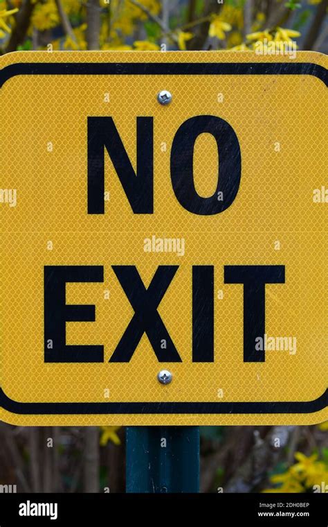 Yellow Sign Saying No Exit Stock Photo Alamy