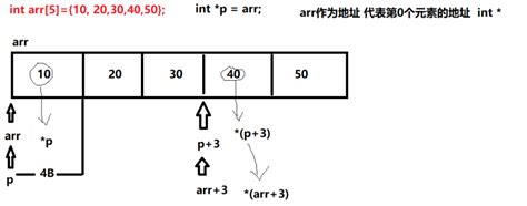 数组元素的指针变量 牙齿凤 博客园