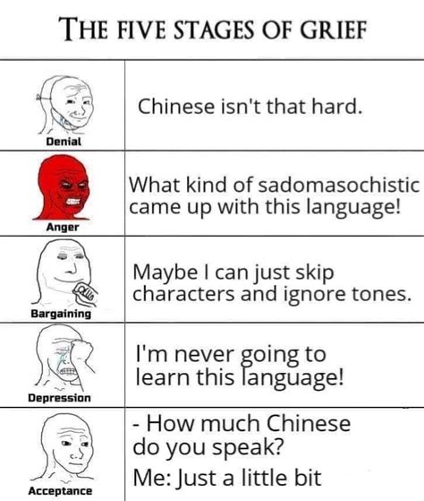 Pin By カルペディエム On 中文 Chinese Learning Chinese Language Words