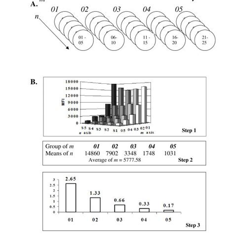 Concept Diagram For M × N Microsphere Matrix A Each Circle In This Download Scientific