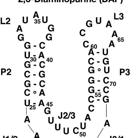 Structures Of The Components Of The ITC Experiment Presented In This Download Scientific